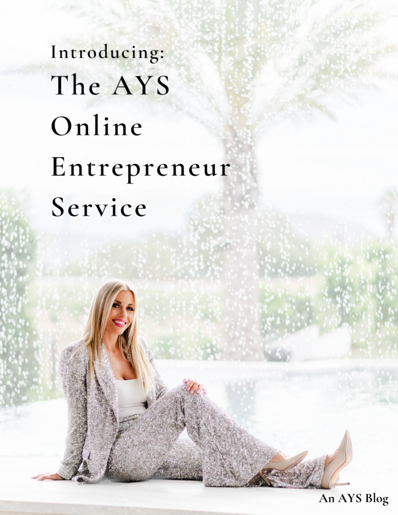 Introducing: The AYS Online Entrepreneur Service